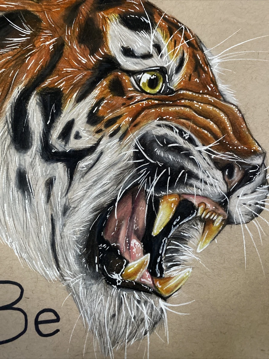 Wild Animal Sketches In Pencil