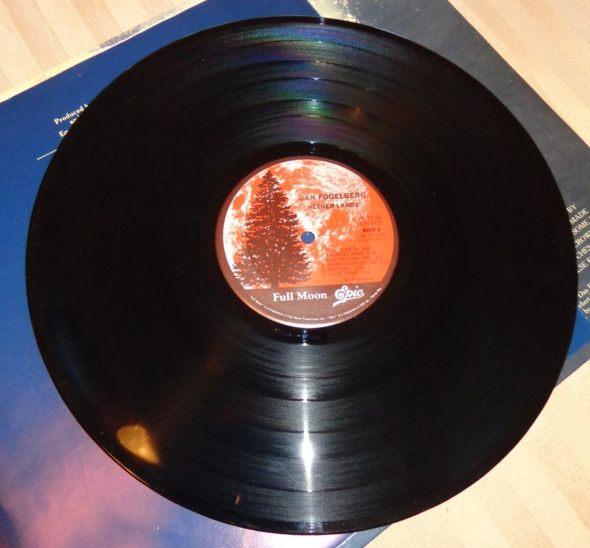 DAN FOGELBERG: NETHER LANDS ALBUM-1977 CBS/EPIC REC #34185-ERROR:SIDE 1 ...