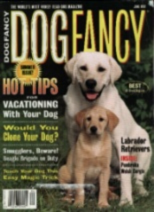 1997 DOG FANCY Magazine LABRADOR RETRIEVERS Pembroke Welsh Corgis LAB ...