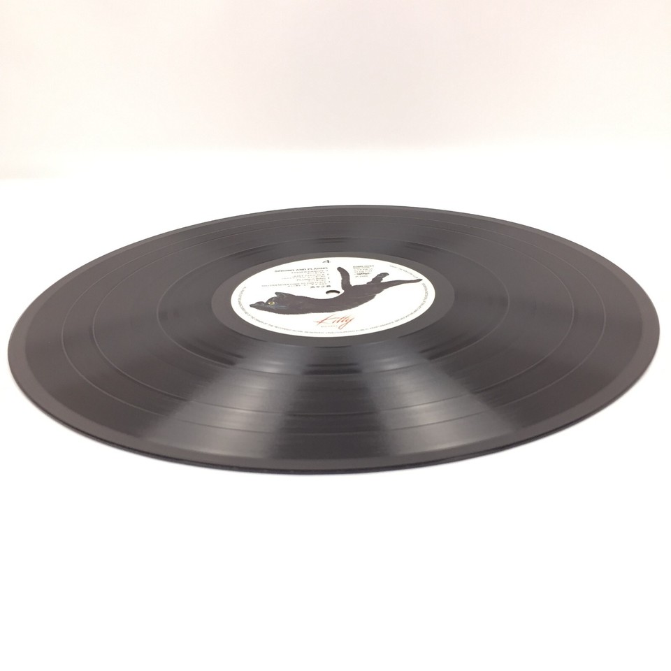 Masayoshi Takanaka LP Vinyl Record Obi Singing And Playing 60MS0093 ...