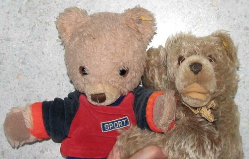 2x Steiff animal older bear / teddy with KF by Steiff | eBay