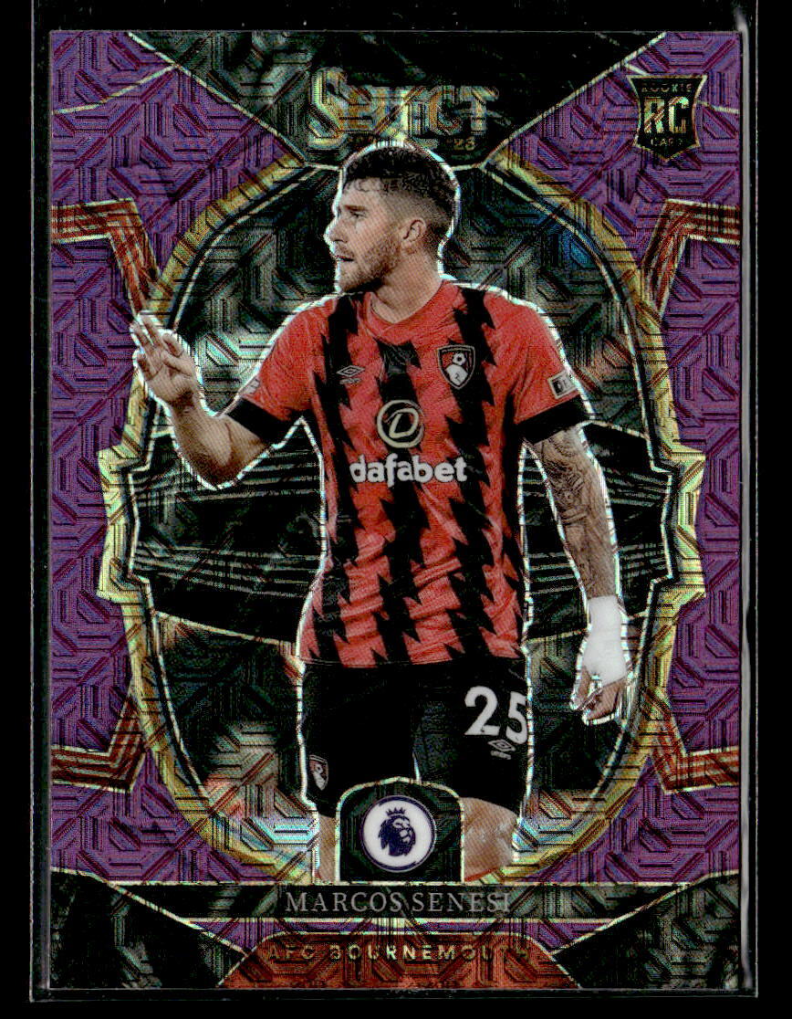 Marco Senesi Tattoos Tottenham Target Feyenoord Ace Senesi Amidst