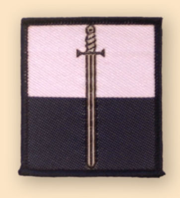 NEW OFFICIAL 16 Signal Regiment colour. TRF | eBay