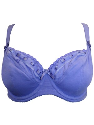Ex Boux Avenue Ladies Cornflower Fliss Full Support Balconette Bra ...