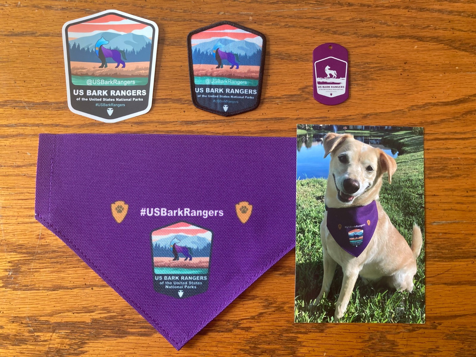 US Bark Rangers of the US National Parks Dog Sticker/Magnet/Patch ...