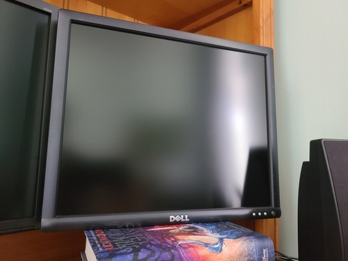 Dell 1703FP LCD Monitor for sale online | eBay