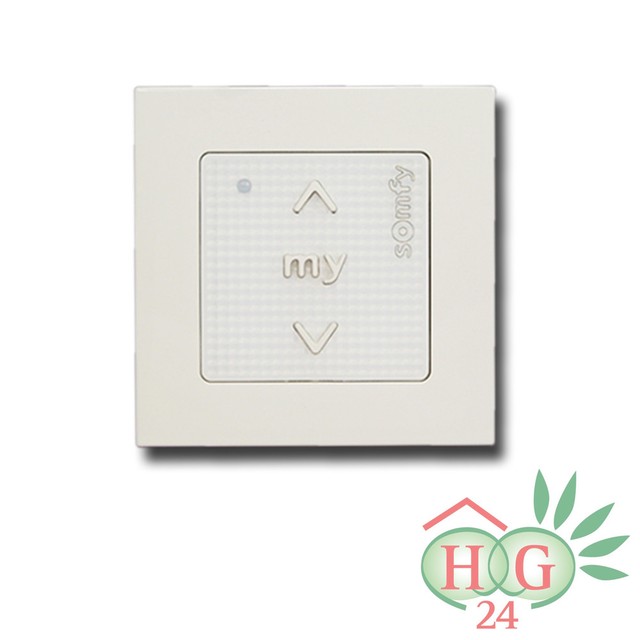 1 Channel Somfy Smoove Origin RTS Remote Control With Frame 1810880a ...