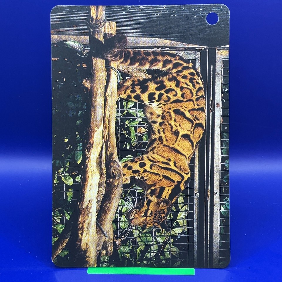 Animal Card 4.25 x 2.75 Inch Made in Japan Japanese JP #15 | eBay