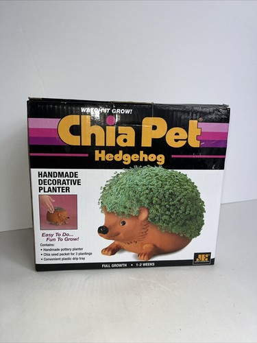 Chia Pet HEDGEHOG Handmade Terra-Cotta Pottery Planter (EXPIRED Seed ...