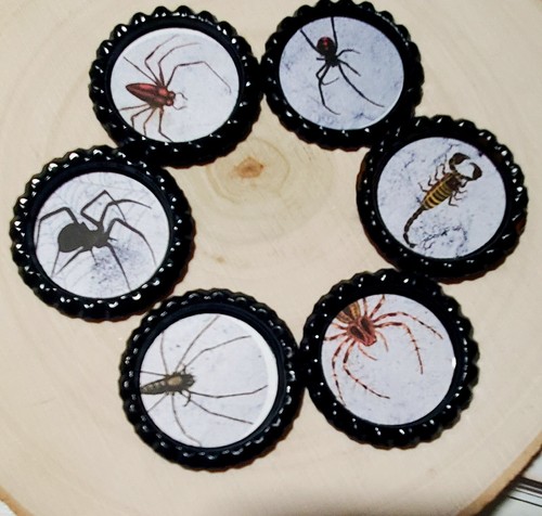 SCARY SPIDERS ARACHNIDS One Inch Bottle Cap Refrigerator Magnet Set Of ...