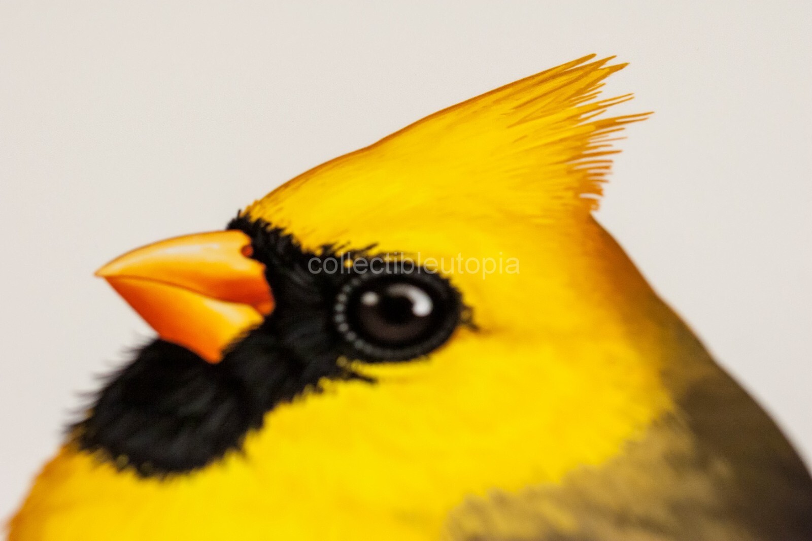 Mike Mitchell Fat Bird Series Yellow Northern Cardinal #/35 Art Print ...