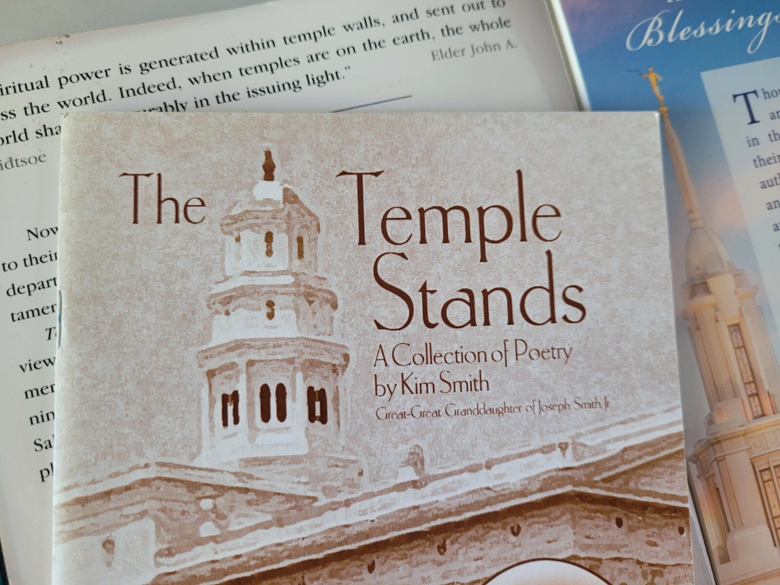 TEMPLES LDS Mormon Lot 6 Books House of Lord Holy Temple Your Covenant ...