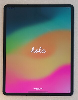 Apple iPad Pro 5th Gen A2379 - 256GB 5G Unlocked 12.9" - Space Gray ...