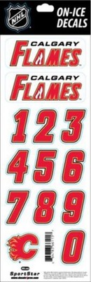 Calgary Flames Sportstar NHL Hockey Helmet On-Ice Decals Kit - White | eBay