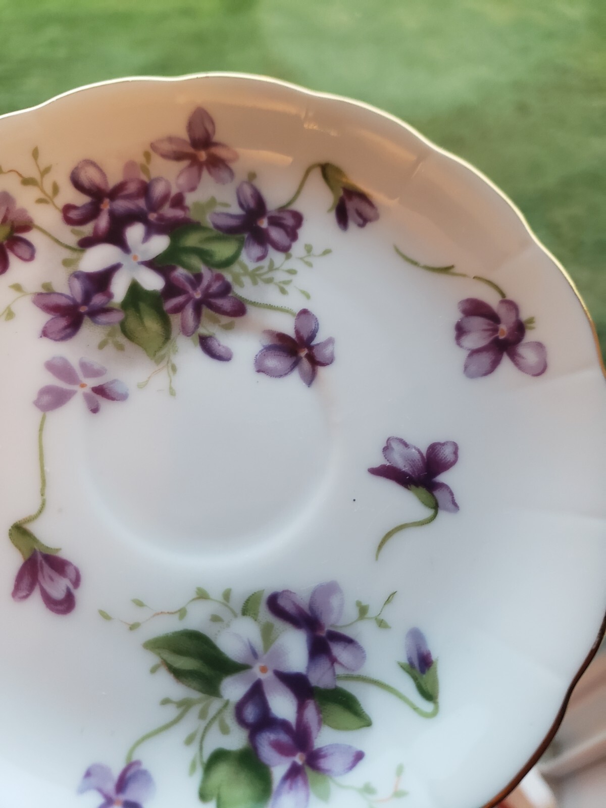 Rossetti Spring Violets Demitasse Cup, Saucer & Lemon Dish Japan Hand ...