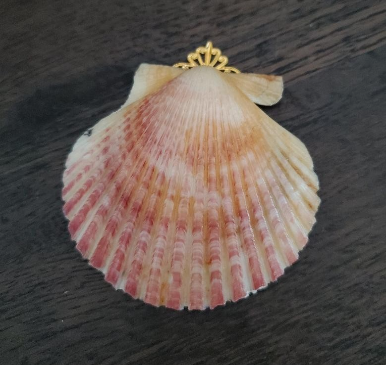 Shell Decoupage Scallop Seashells, Embellished with Pearl and Gold ...