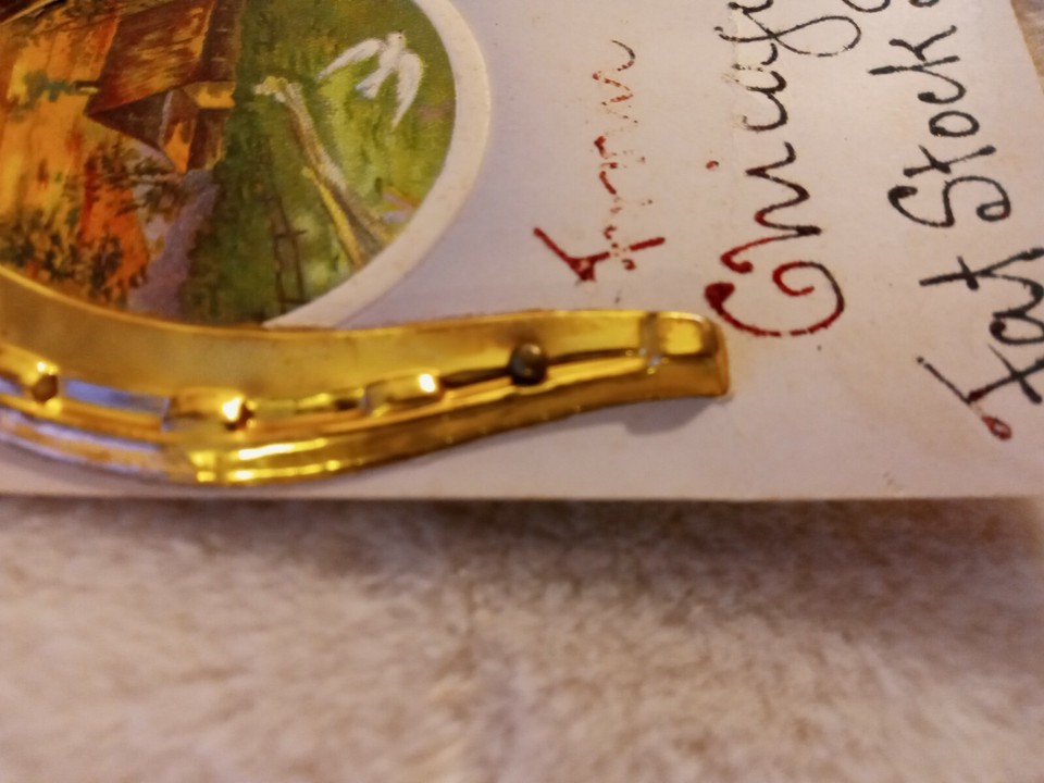 Vintage Postcard Embossed Gold Horseshoe Letters Applied Chicago Fat ...