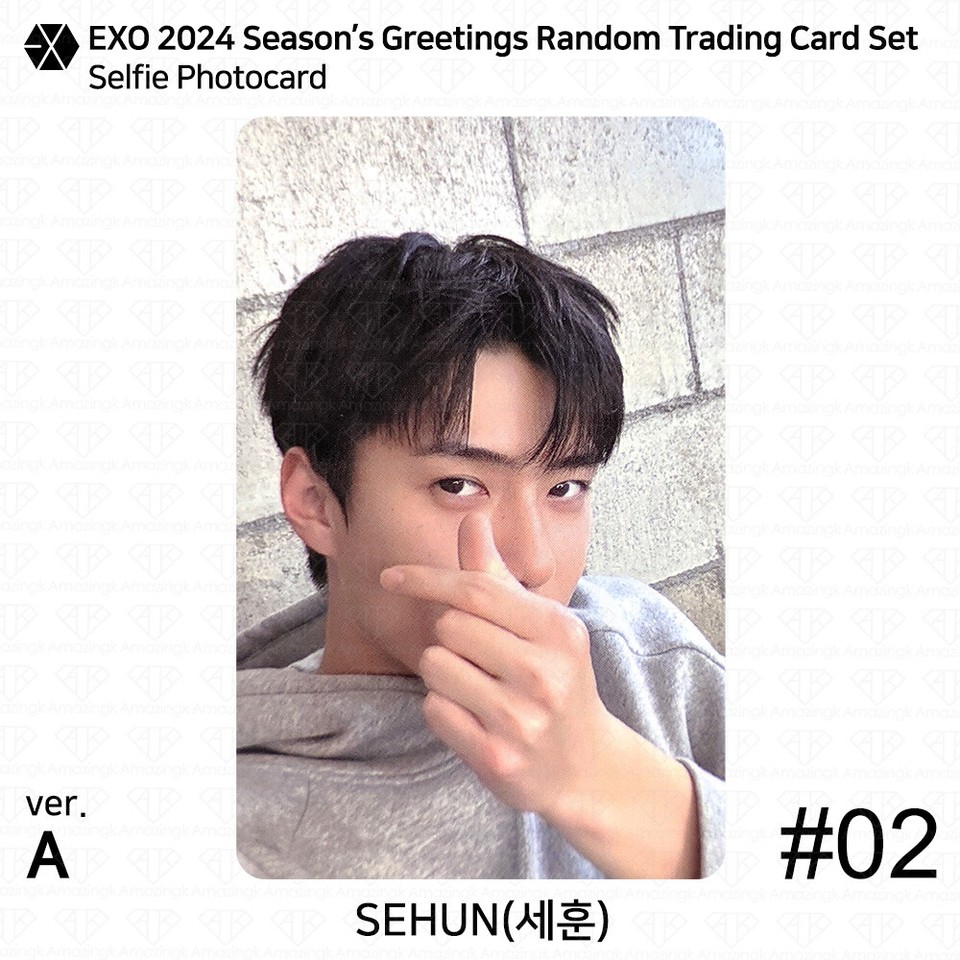 EXO 2024 Season's Greetings Random Trading Card Set Concept Selfie ...