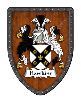 Hawkins Family Custom Crest Coat of Arms Hanging Shield SH503P-DG-HG | eBay