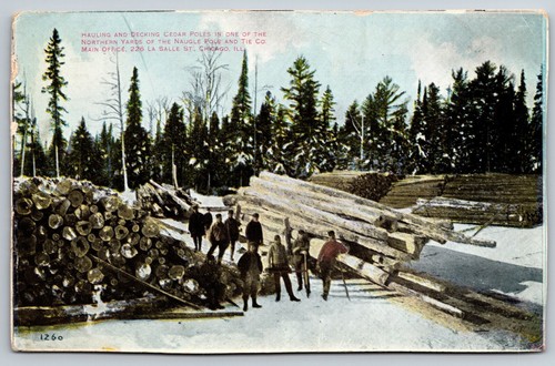 Naugle Pole Tie Company Chicago Illinois Hauling Decking Cedar Log ...