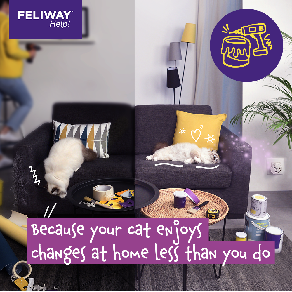 FELIWAY Help Diffuser & Refill Starter Kit - Cat Calming Plug In Stress ...