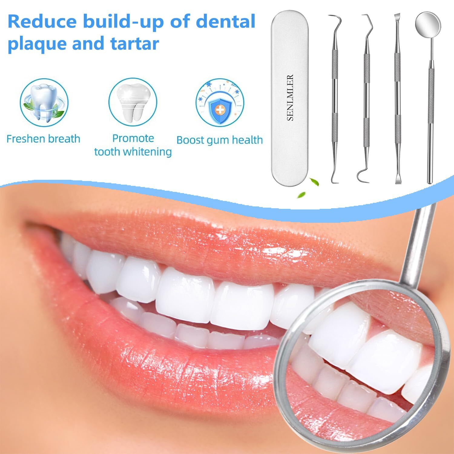 Professional Dental Cleaning Kit with Stainless Tools for Oral Hygiene ...