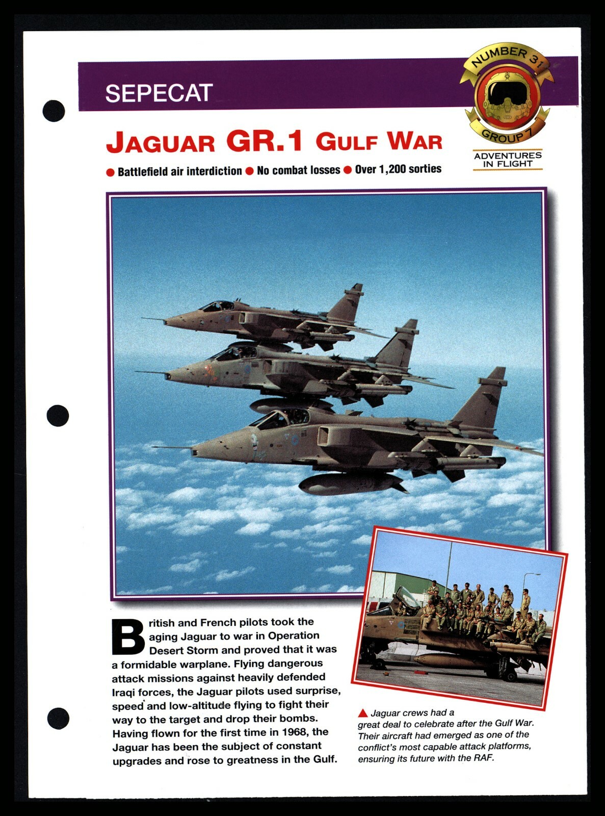 "JAGUAR GR.1 GULF WAR" Aircraft World Spec Sheet Adventures in Flight 7 ...