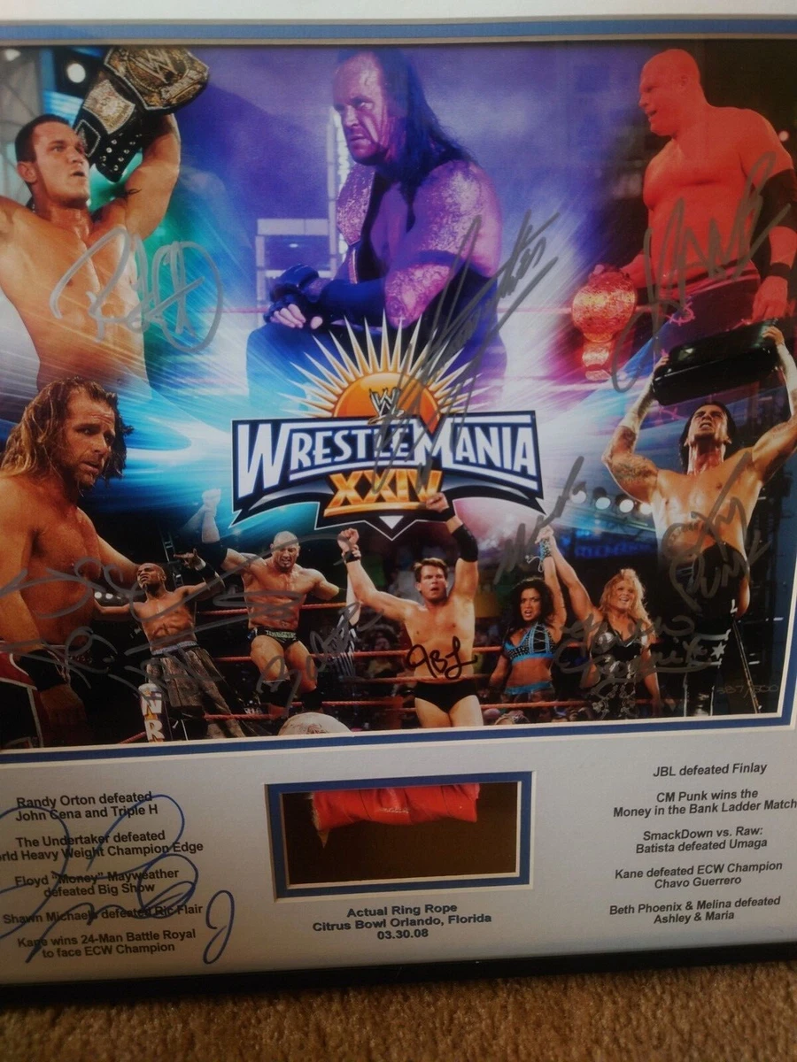 Wrestlemania 24 Undertaker