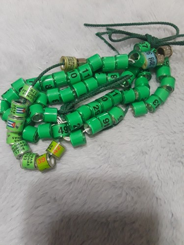 50pcs*8mm Customized Bands for Racing Pigeon Rings Birds Leg With Name ...