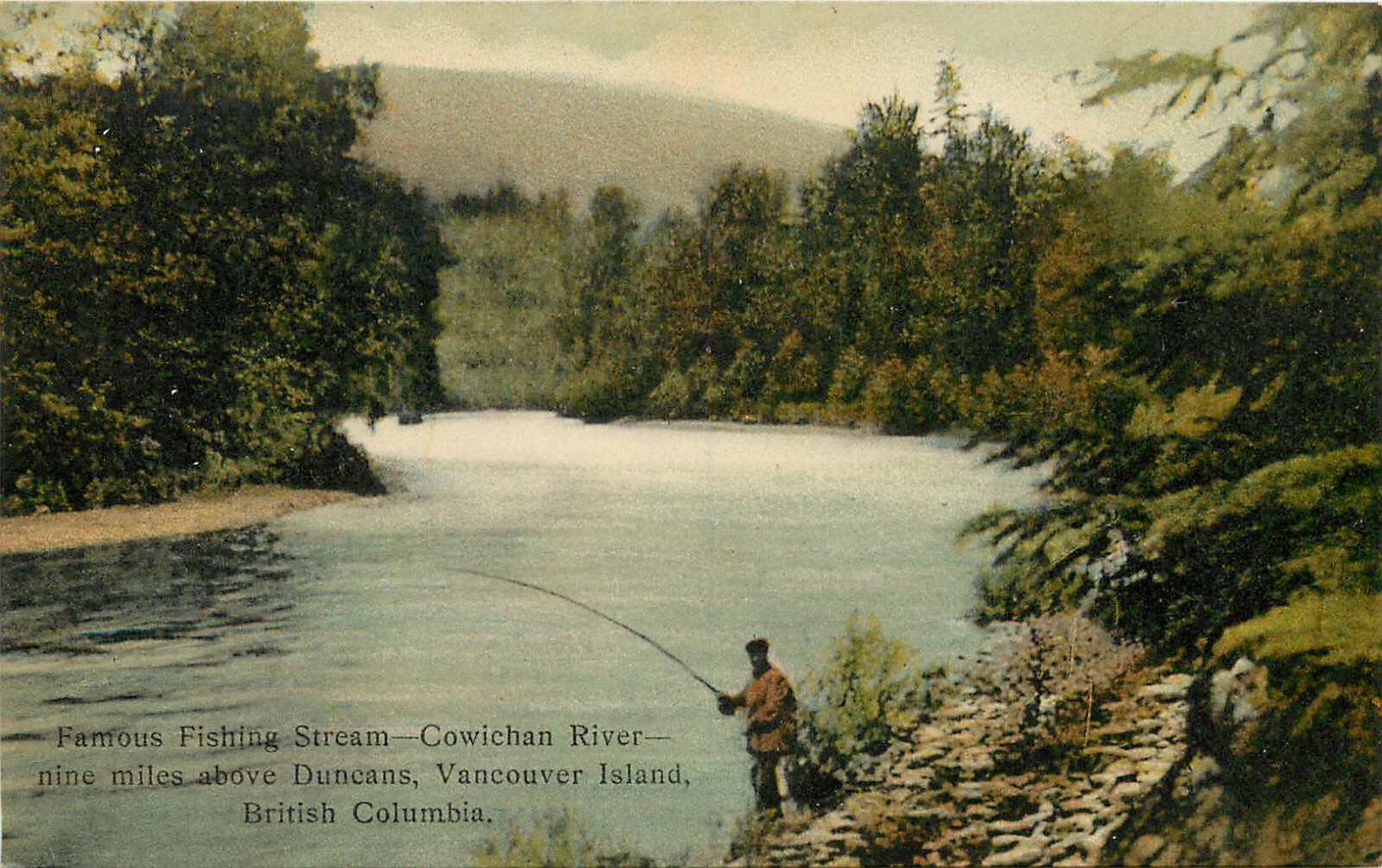 Vintage Postcard Fishing on Cowichan River Duncans, Vancouver Island BC ...