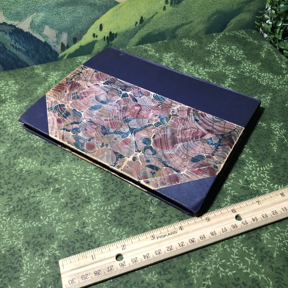 The Lamplighter Maria S. Cummins Antique Book HC David C. Cook ...