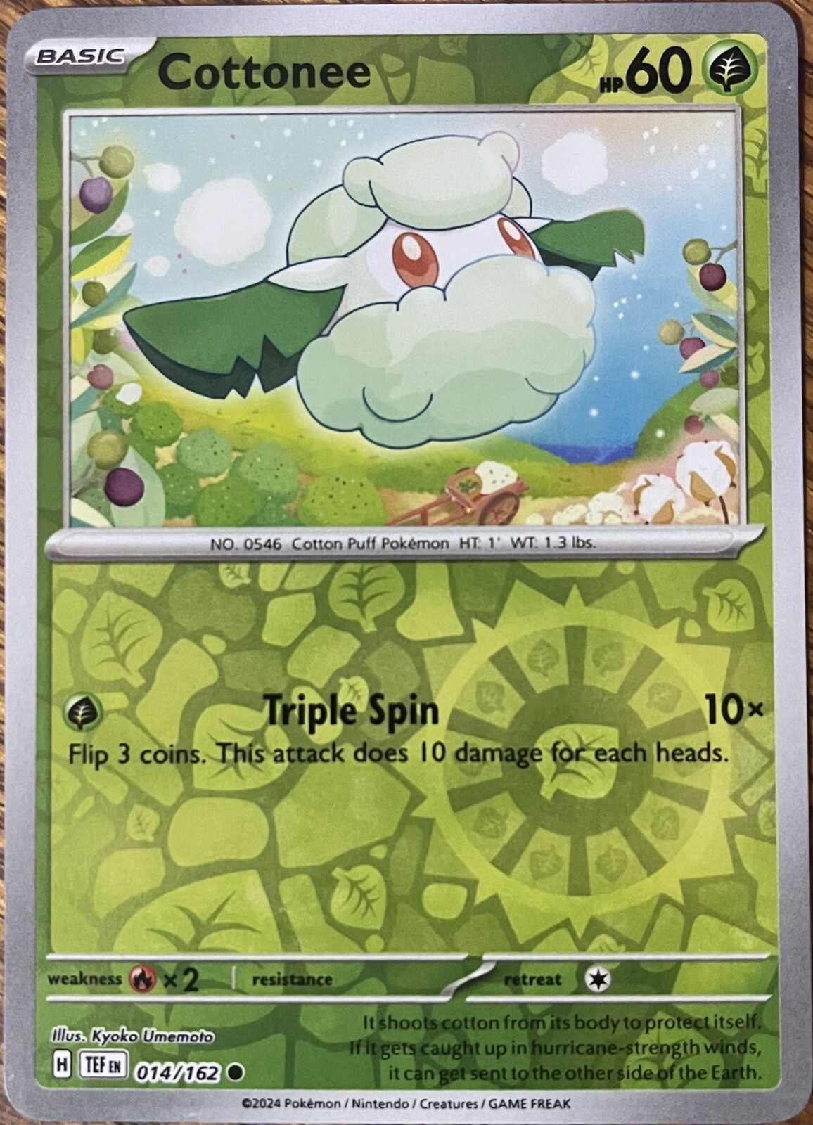 Cottonee 14/162 - Reverse Holo - Temporal Forces - Common - Read Desc ...