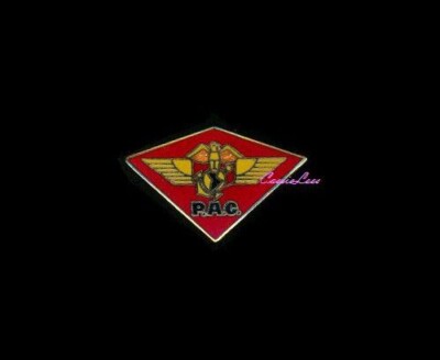 USMC HQ Pac Air Wing + a custom promo pin | eBay