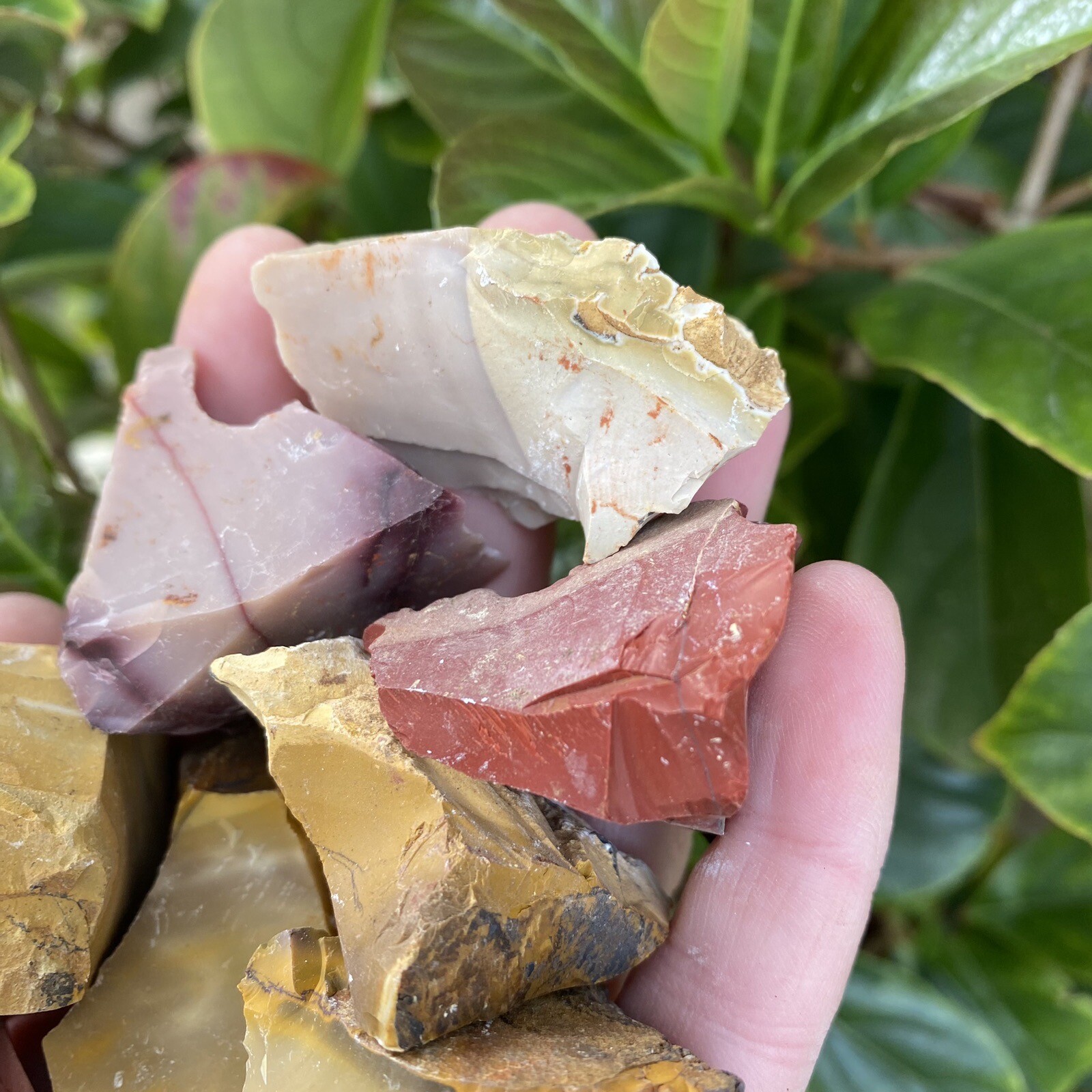 "MOOKAITE JASPER CRYSTALS" - Natural Raw Australian Gemstones - 500 ...