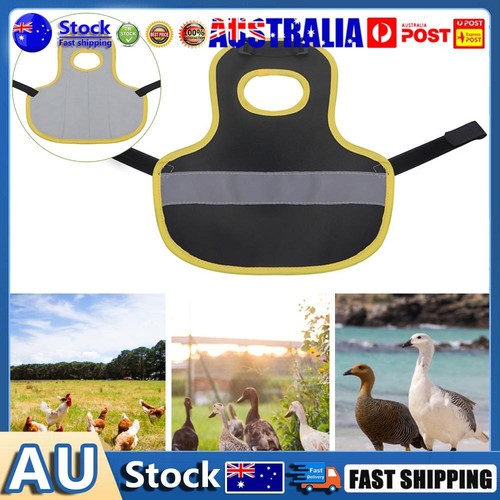 Reflective Chicken Duck Goose Vest Night Protection Clothing Poultry ...