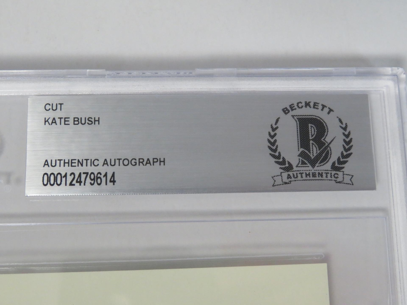 KATE BUSH Signed Autograph Auto 3x5 Index Card Cut Page Slab BAS JSA | eBay