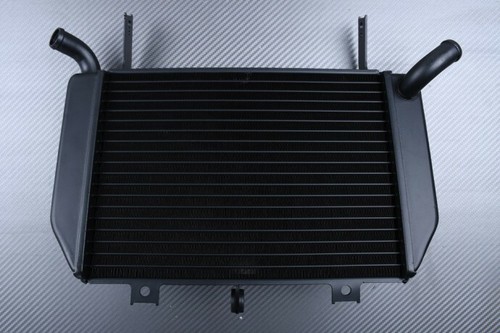 Lower Replacement Water Radiator Cooling SUZUKI TL1000R TLR 1000 AM ...