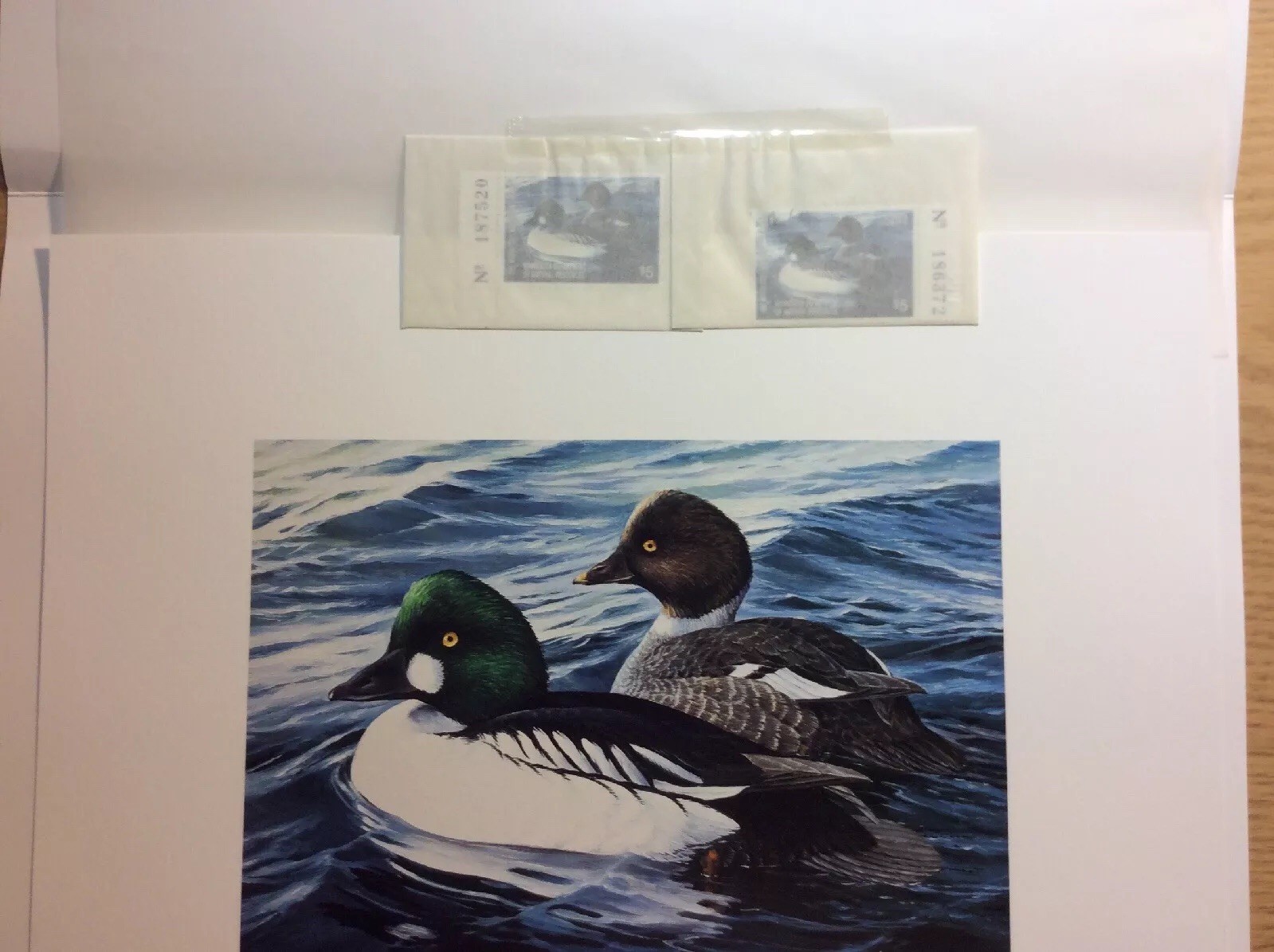 Ron Van Gilder, North Shore Golden Eyes,& Minnesota Duck Stamp , 2 ...