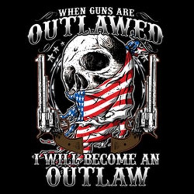 Gun Rights When Guns Are Outlawed HEAT PRESS TRANSFER for Shirt ...