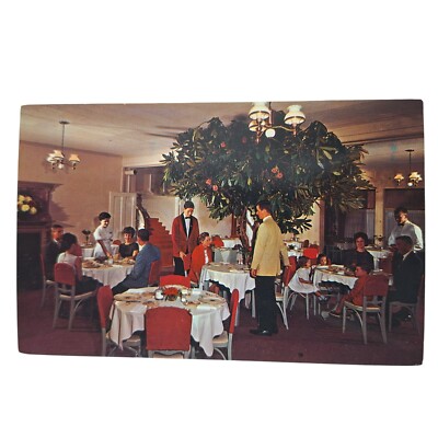 Postcard Lees Inn And Motel Highlands North Carolina Rhododendron ...