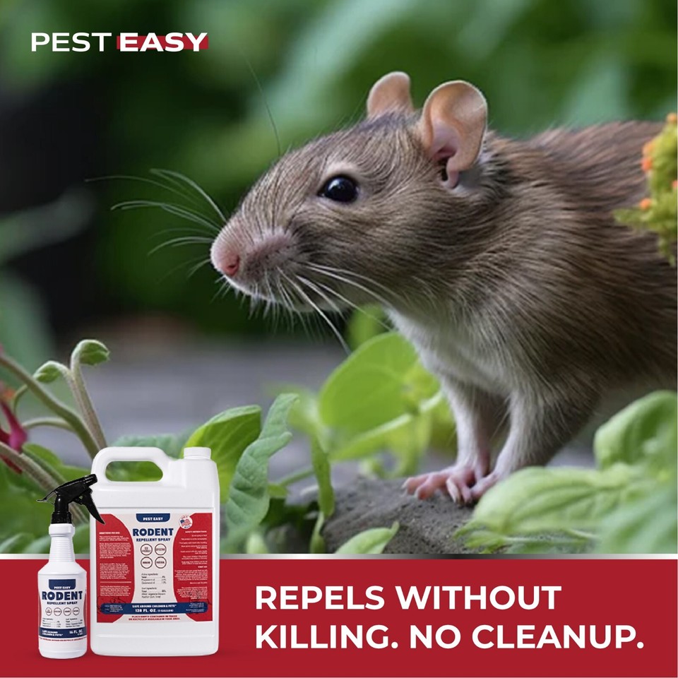 Peppermint Oil Mice, Rodent Spray - Instant results, goes to work ...