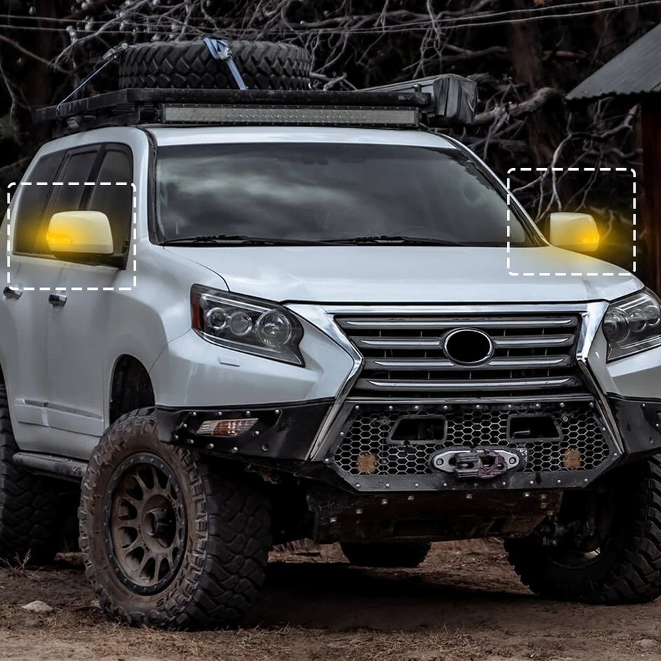 Left & Right Side Mirror Turn Signal Light 81740-60100 for 2010-2020 ...