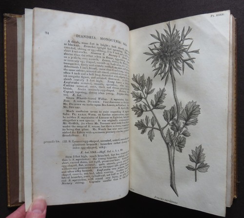 BRITISH PLANTS ~1818~ WITHERING 4v BOTANY LINNAEAN SYSTEM FLOWERS ...