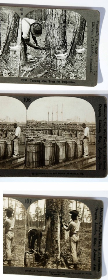 Savannah GEORGIA 3 Antique stereoviews cards views photos Turpentine ...