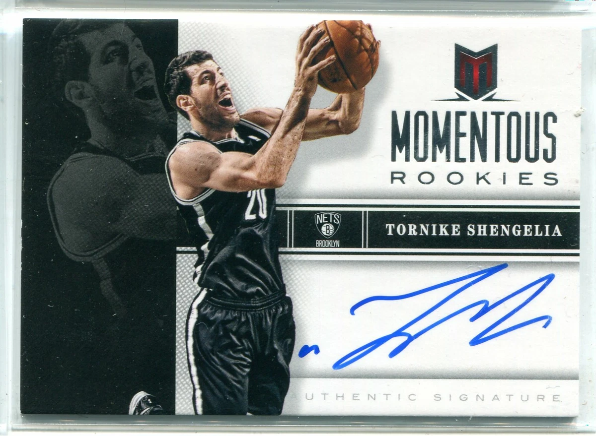 Tornike Shengelia Nets