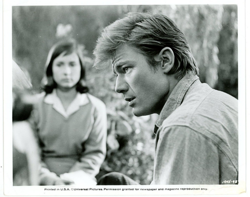 Vintage 8x10 Photo Wild Seed (1965 film) Michael Parks Celia Kaye Ross Elliott | eBay
