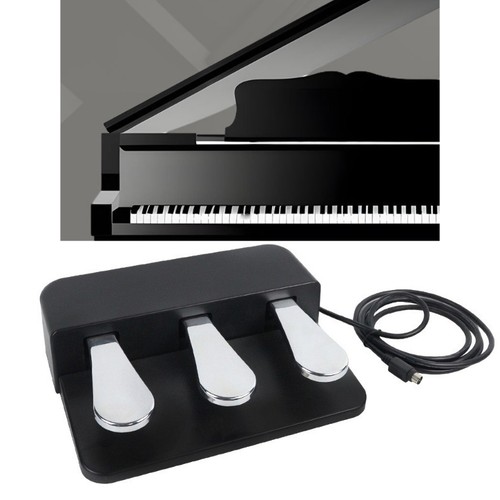 Sustain Pedal Offering Universal Compatibility for Various Keyboard ...