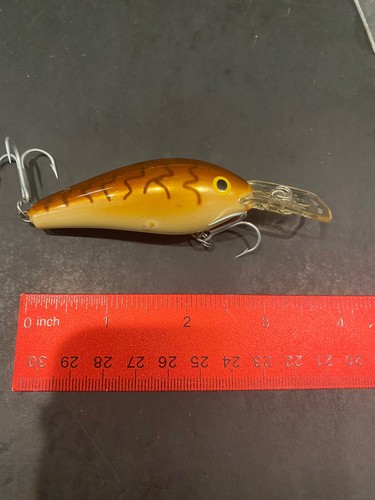 Rapala Fat Rap #7 Craw Dad #3 | eBay