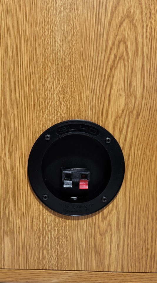 Solid Oak Enclosed Infinity SL 40 Floor Speakers Pair. Great condition ...