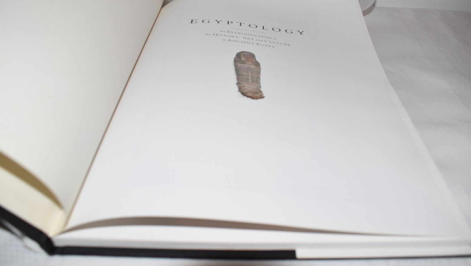 Egyptology : An Introduction to the History Culture and Art by James ...